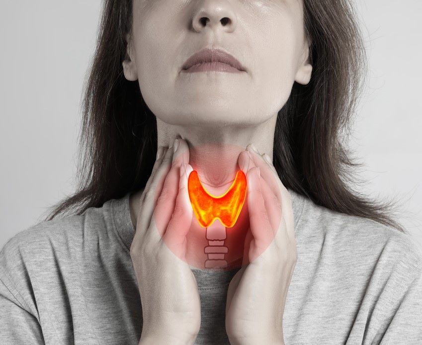 Thyroid Medication Update: What You Should Know - BetterMyMeds